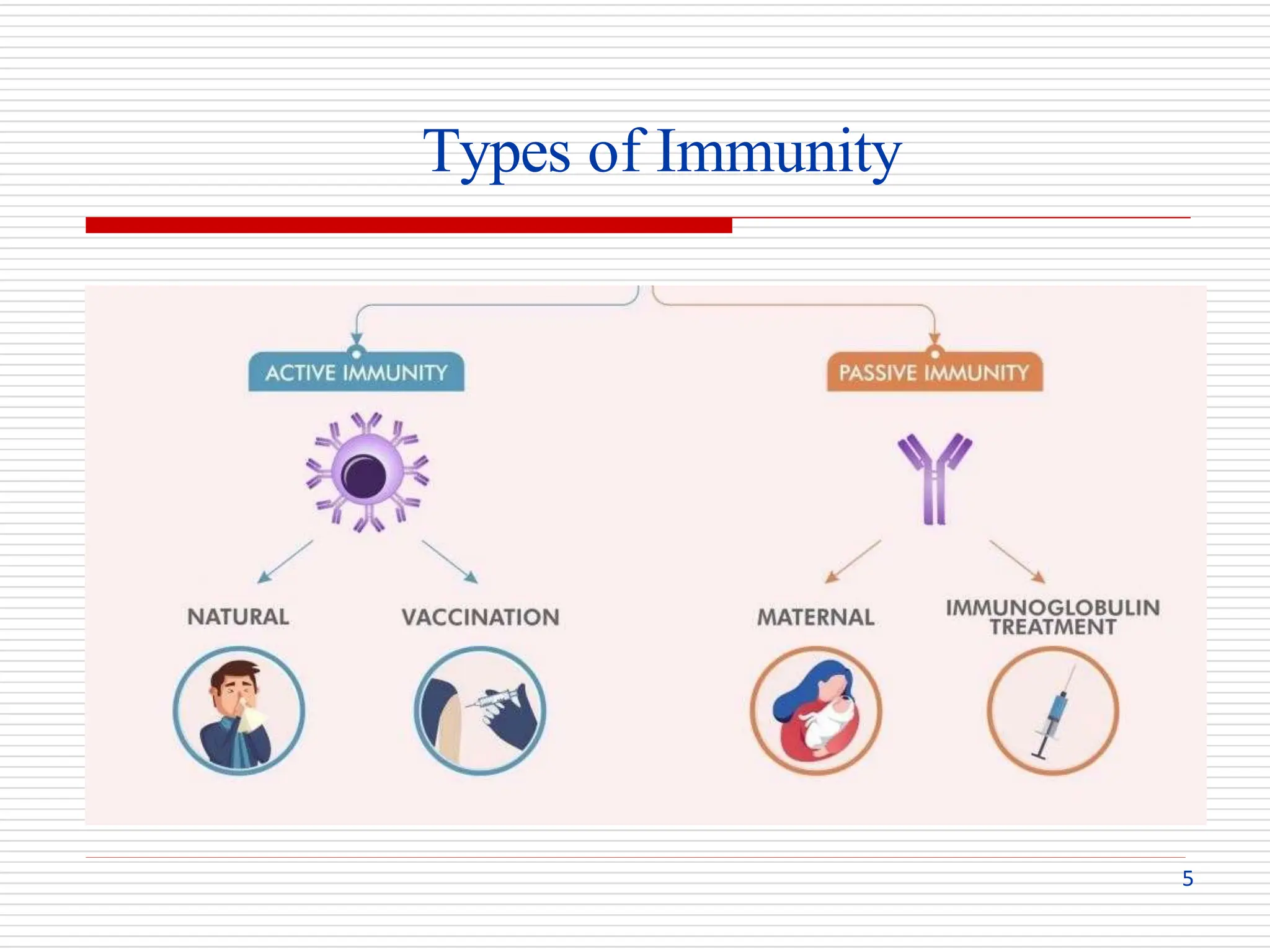 immunity and its types.pptx