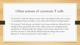 Comprehensive Overview of Acquired Immunity and Cellular Immune ...