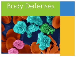 Immunity : Host Defence | PDF