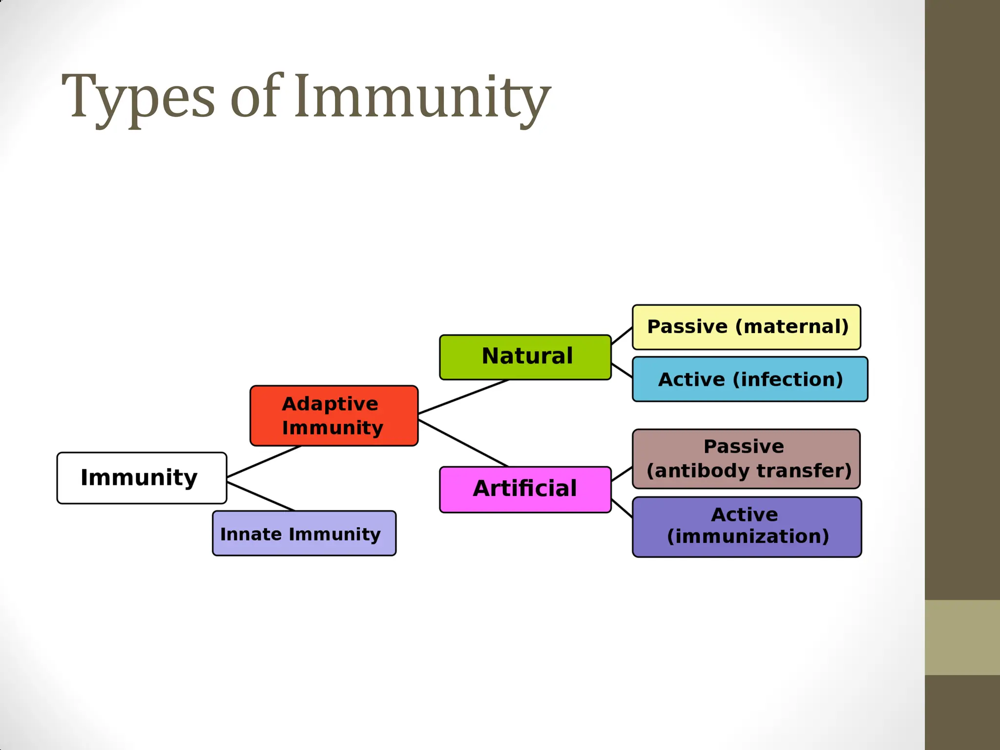 First year mbbs physiology - immunity, classification types and ...