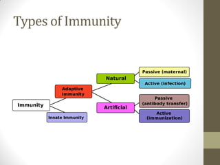 First year mbbs physiology - immunity, classification types and ...