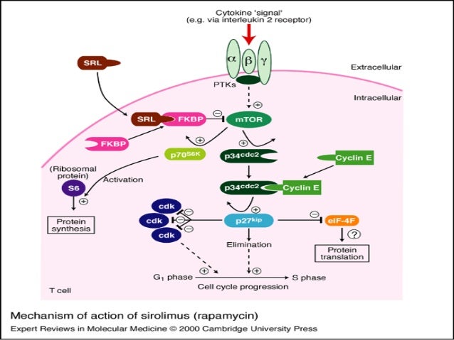 Immunity, immunosuppresant’s