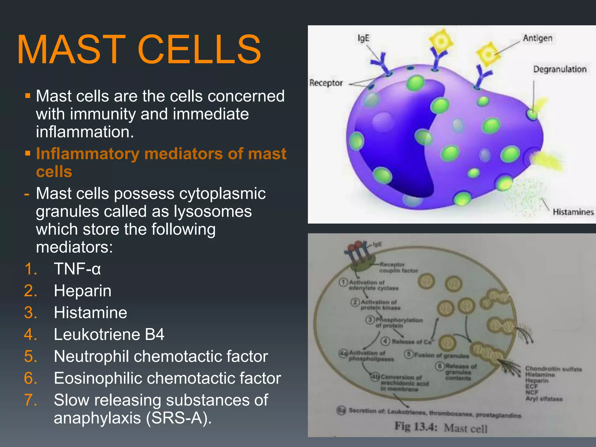 Immunity Inflammation Pptx