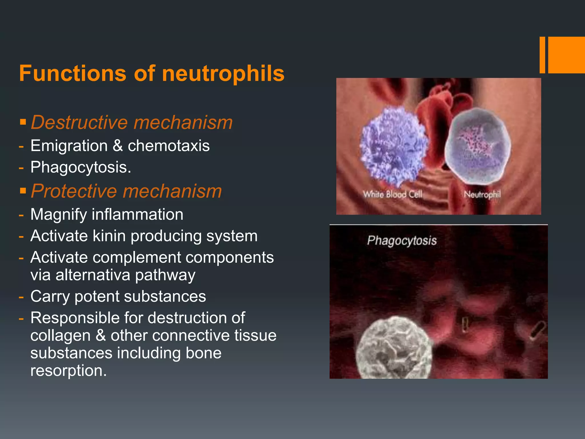 Immunity & Inflammation | PPTX