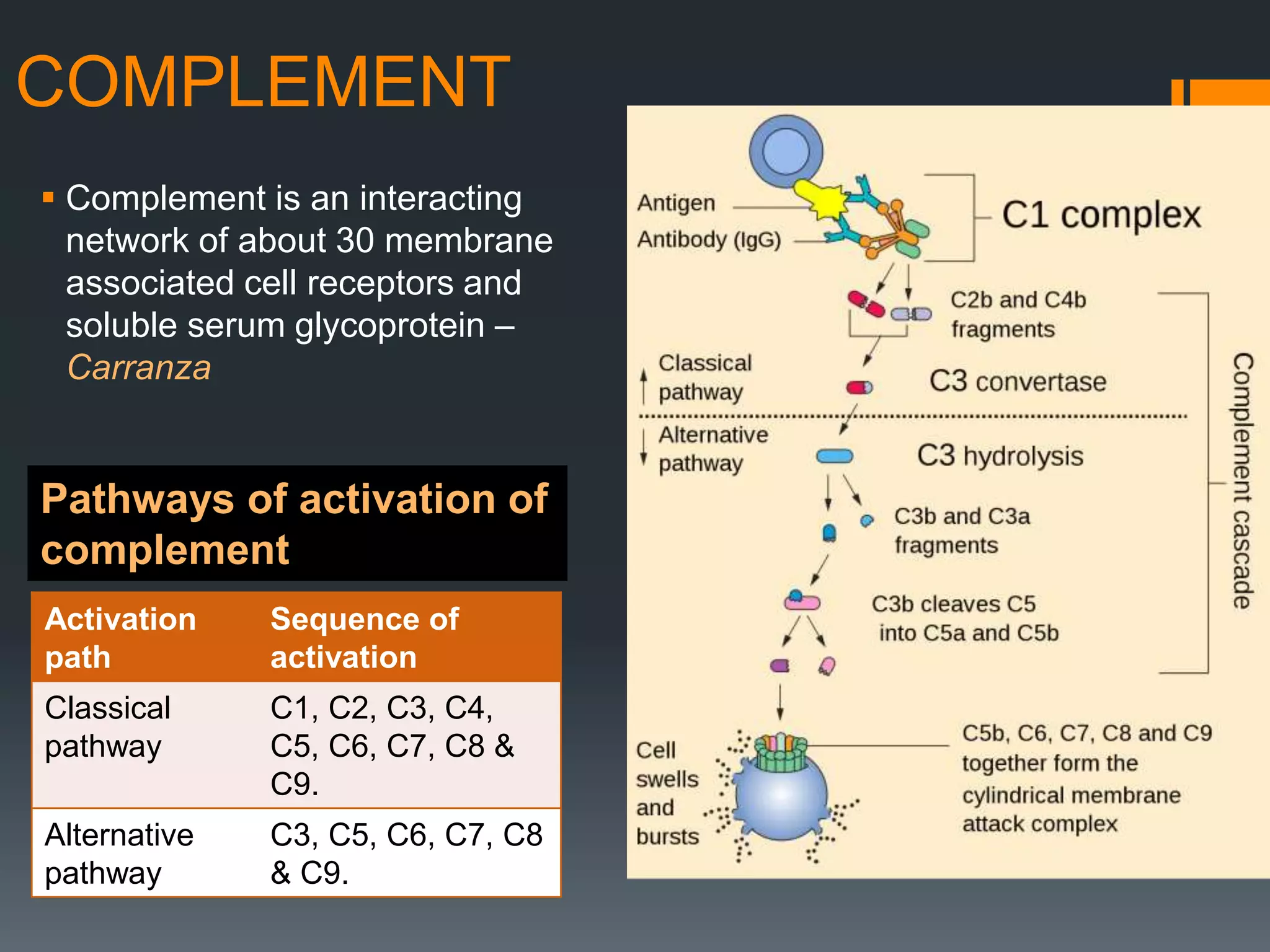 Immunity & Inflammation | PPTX
