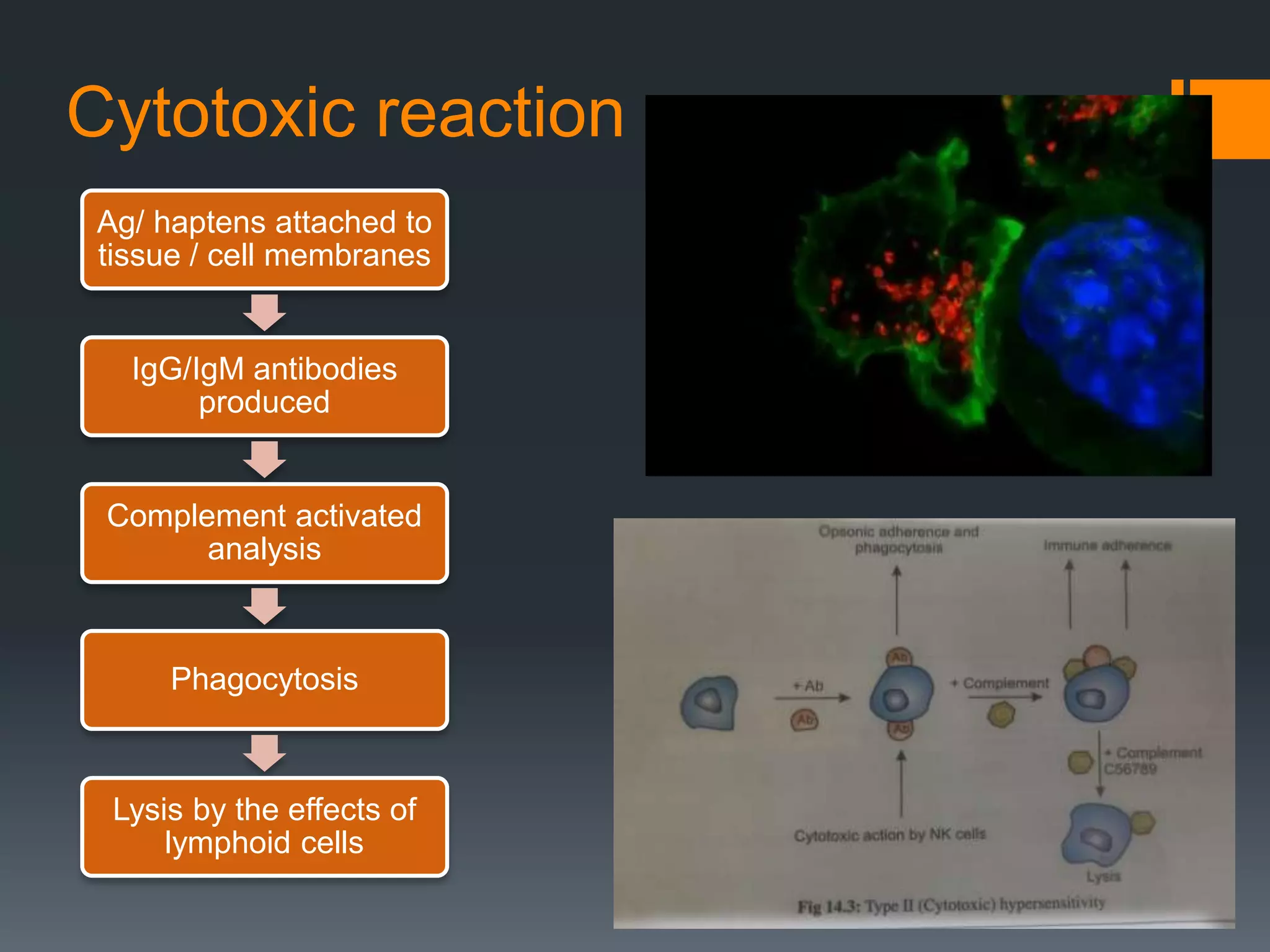 Immunity & Inflammation | PPTX