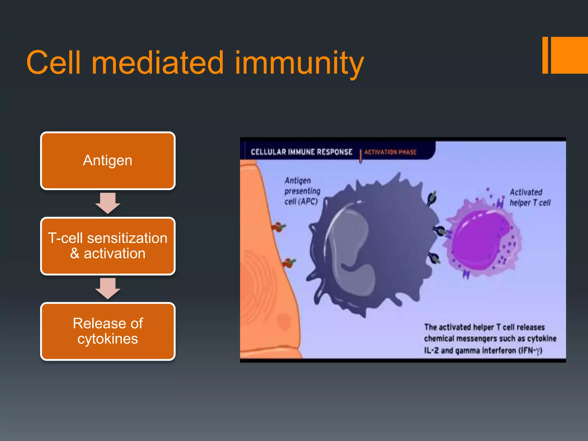 Immunity & Inflammation | PPTX