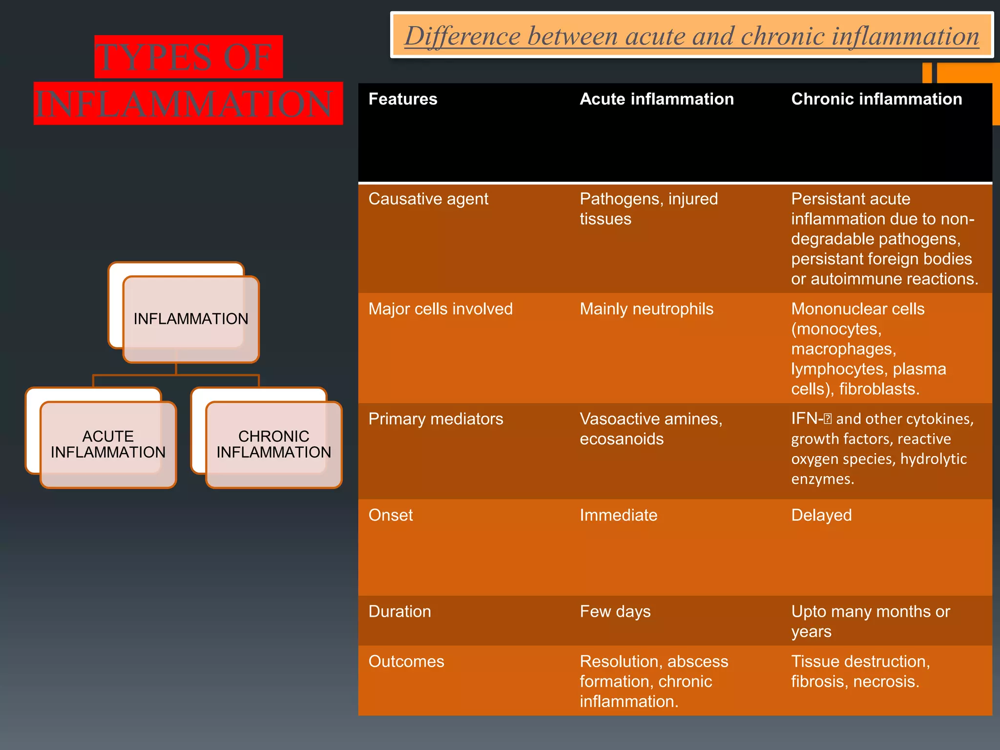 Immunity & Inflammation | PPTX