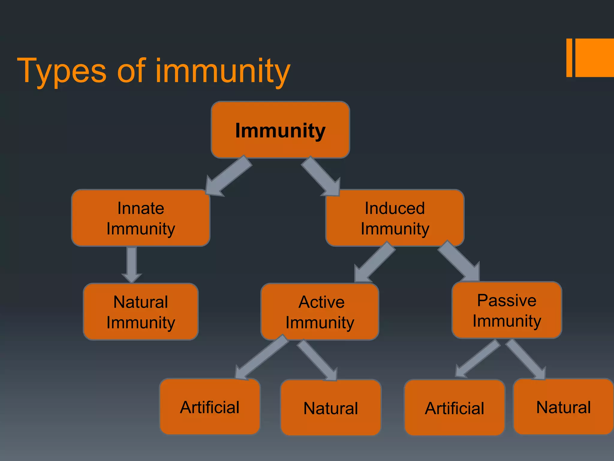 Immunity & Inflammation | PPTX
