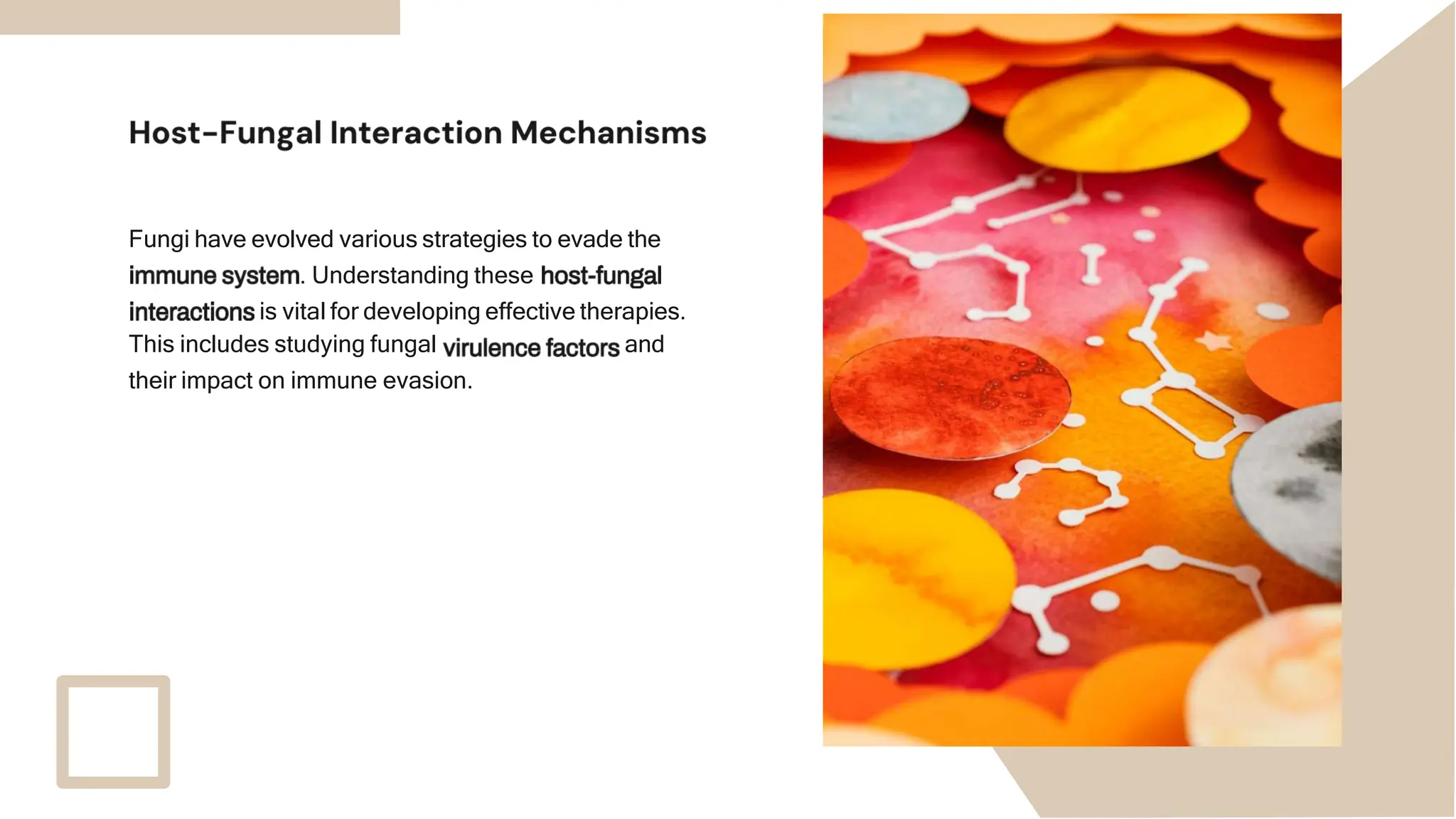 Immunity Mechanisms in Fungal Infections | PDF
