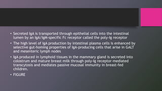 Immunity in the gastrointestinal system | PPTX