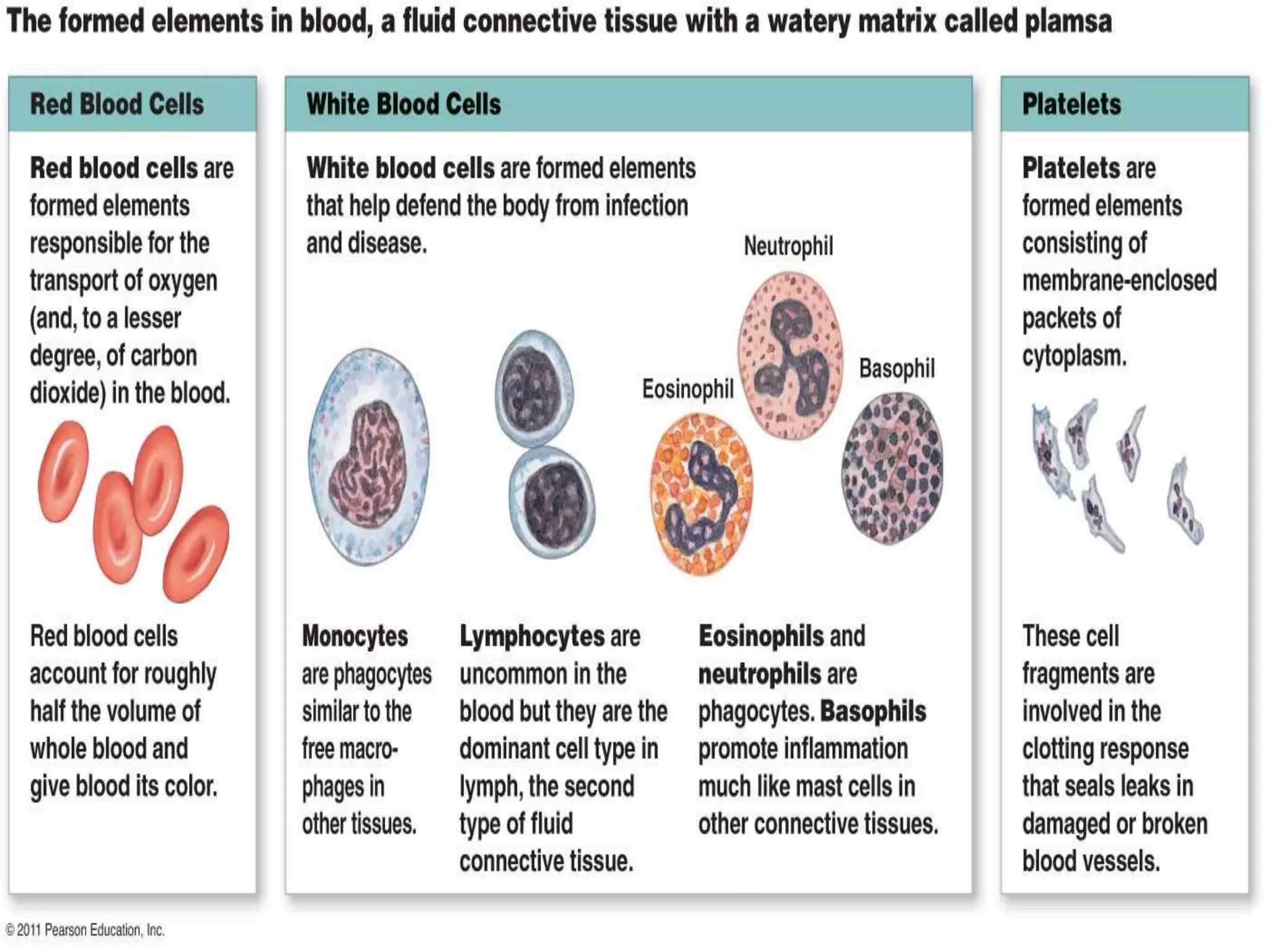 Immunity introduction ms 2019 new | PPT