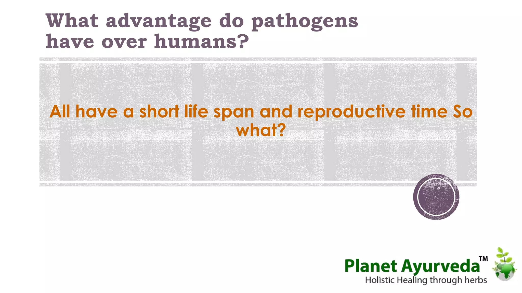 Immune Magic - Way to boost immune system | PPTX