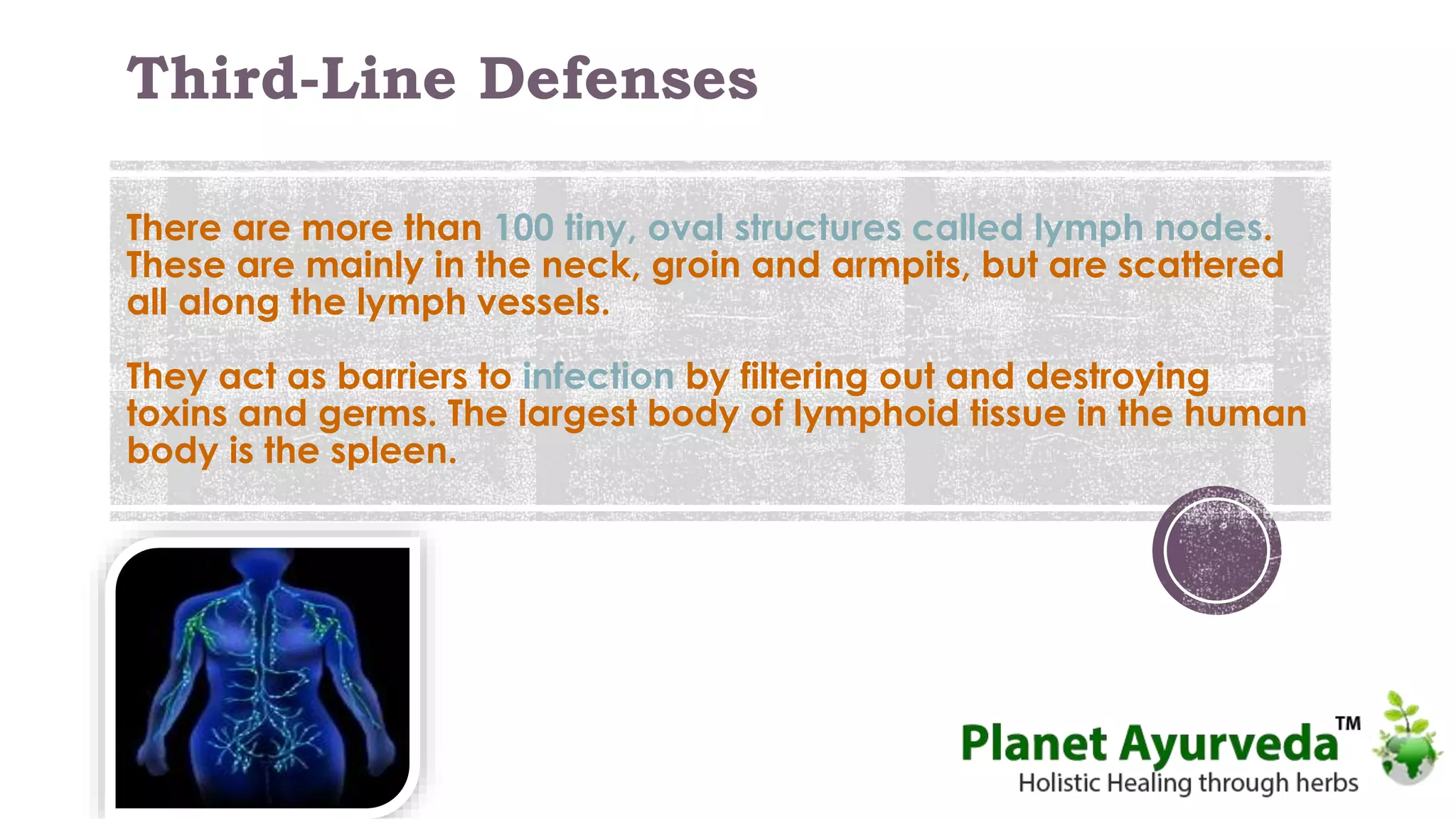 Immune Magic - Way to boost immune system | PPTX