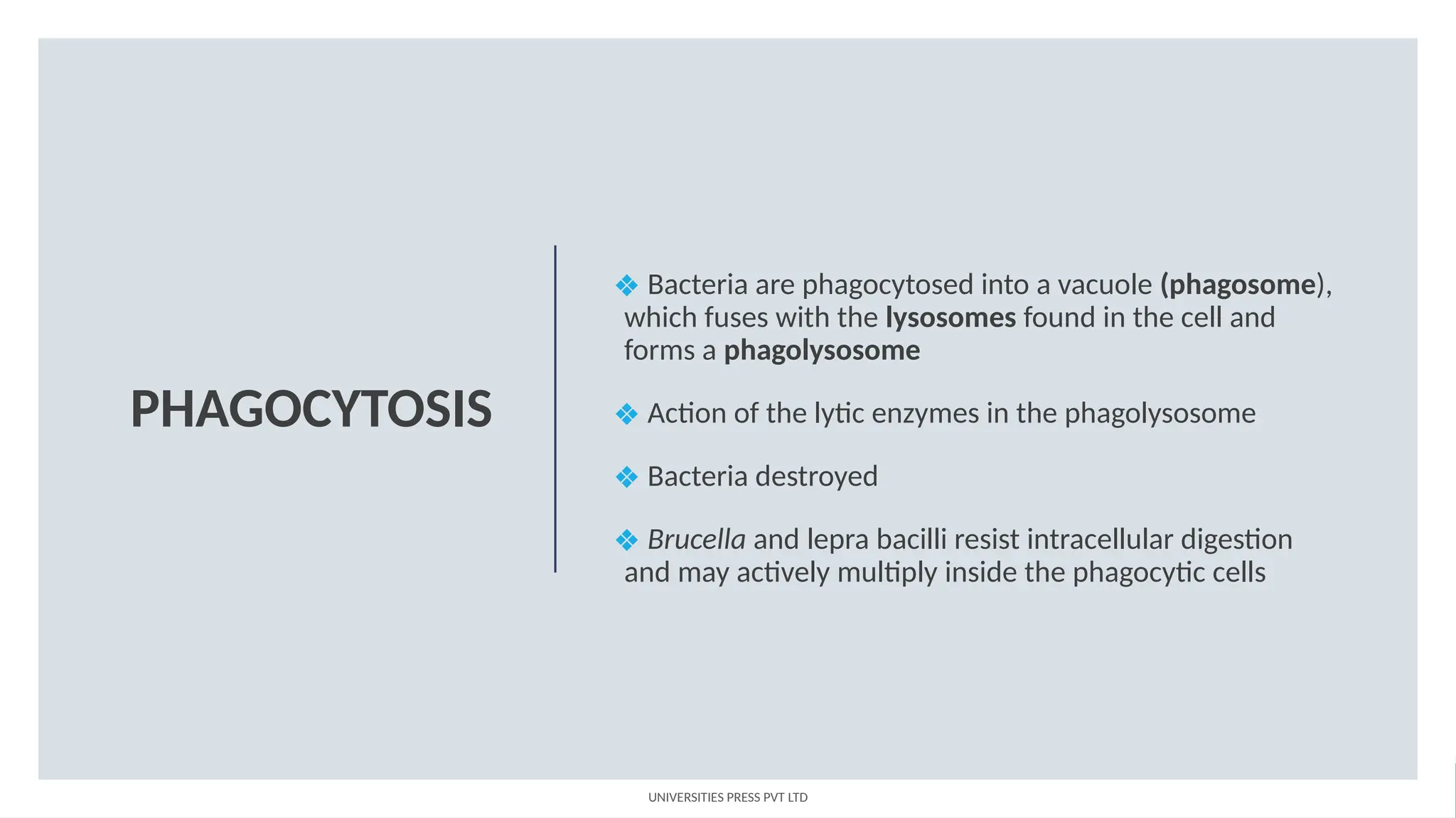 immunity and its components of immune system.pptx