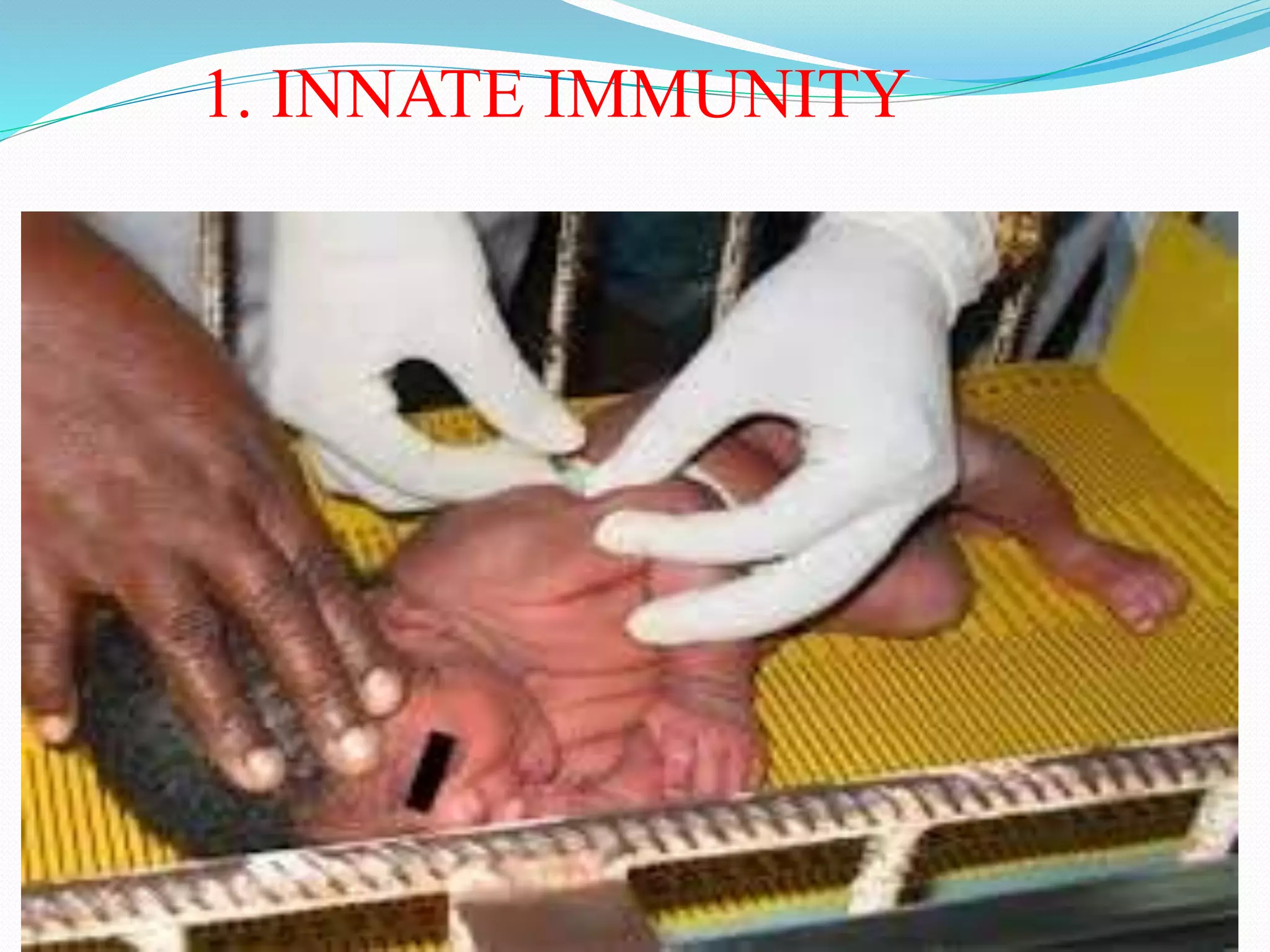 Immunity Lecture Ppt