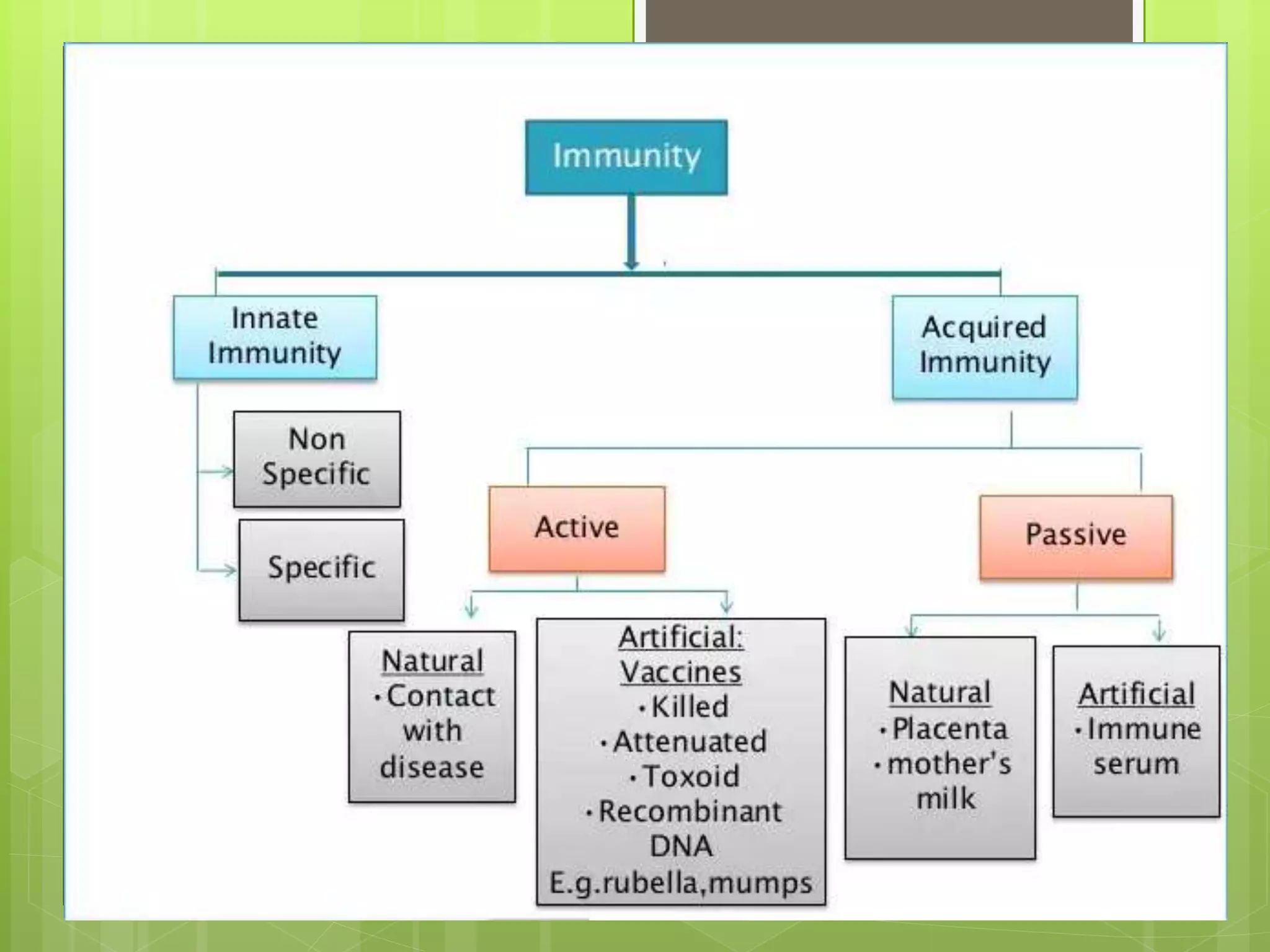 Immunity lecture ppt | PPTX