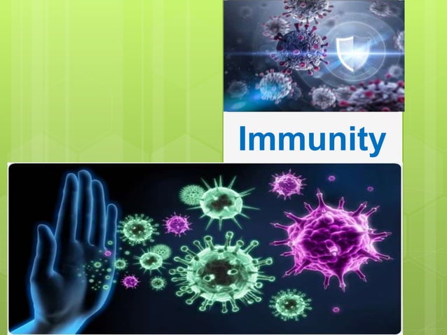Immunity lecture ppt | PPTX