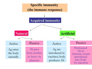 Immunity MSc. presentation by microbiology | PPT