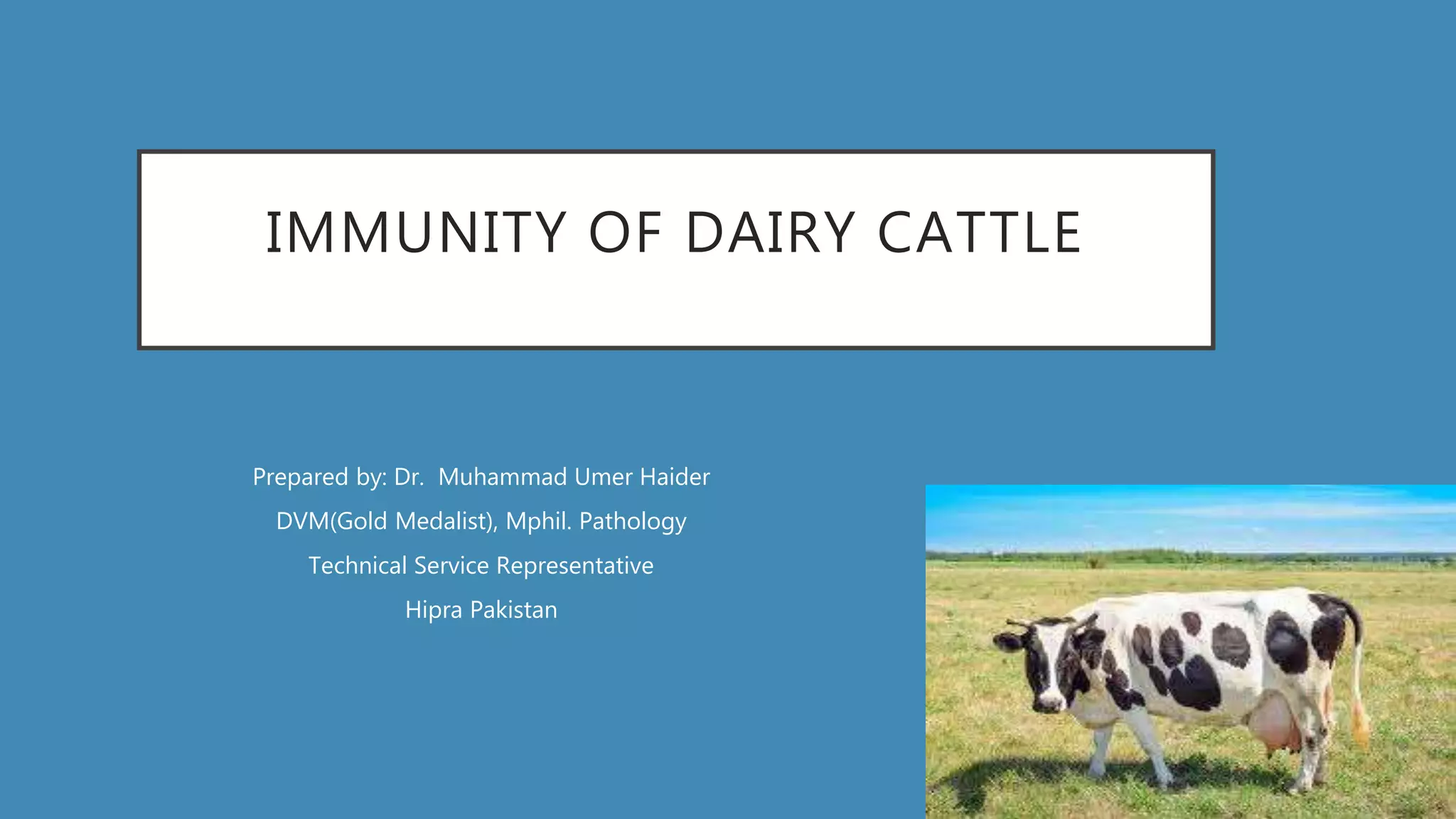 Immunity of bovine | PPTX