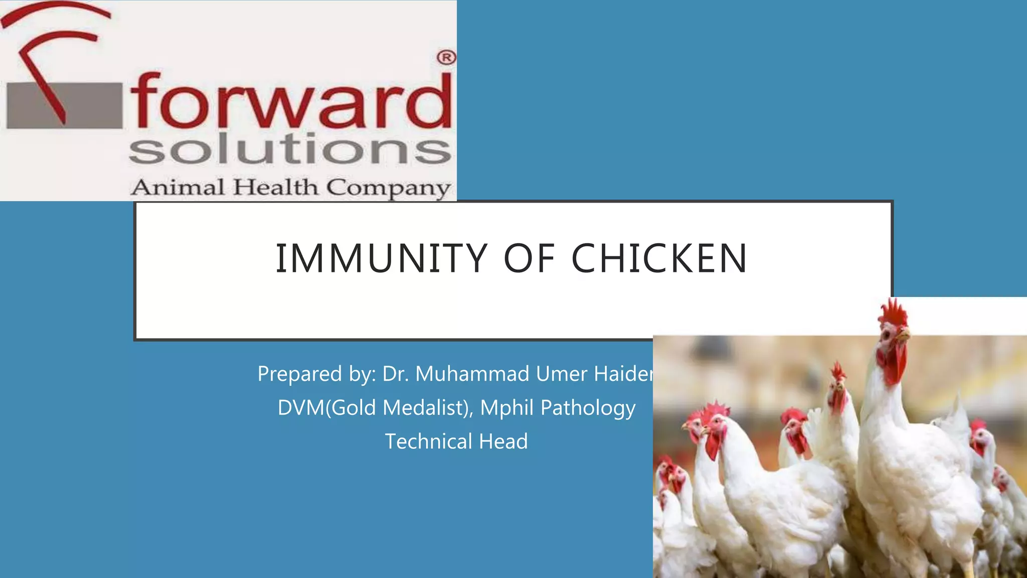 Immunity of chicken | PPTX