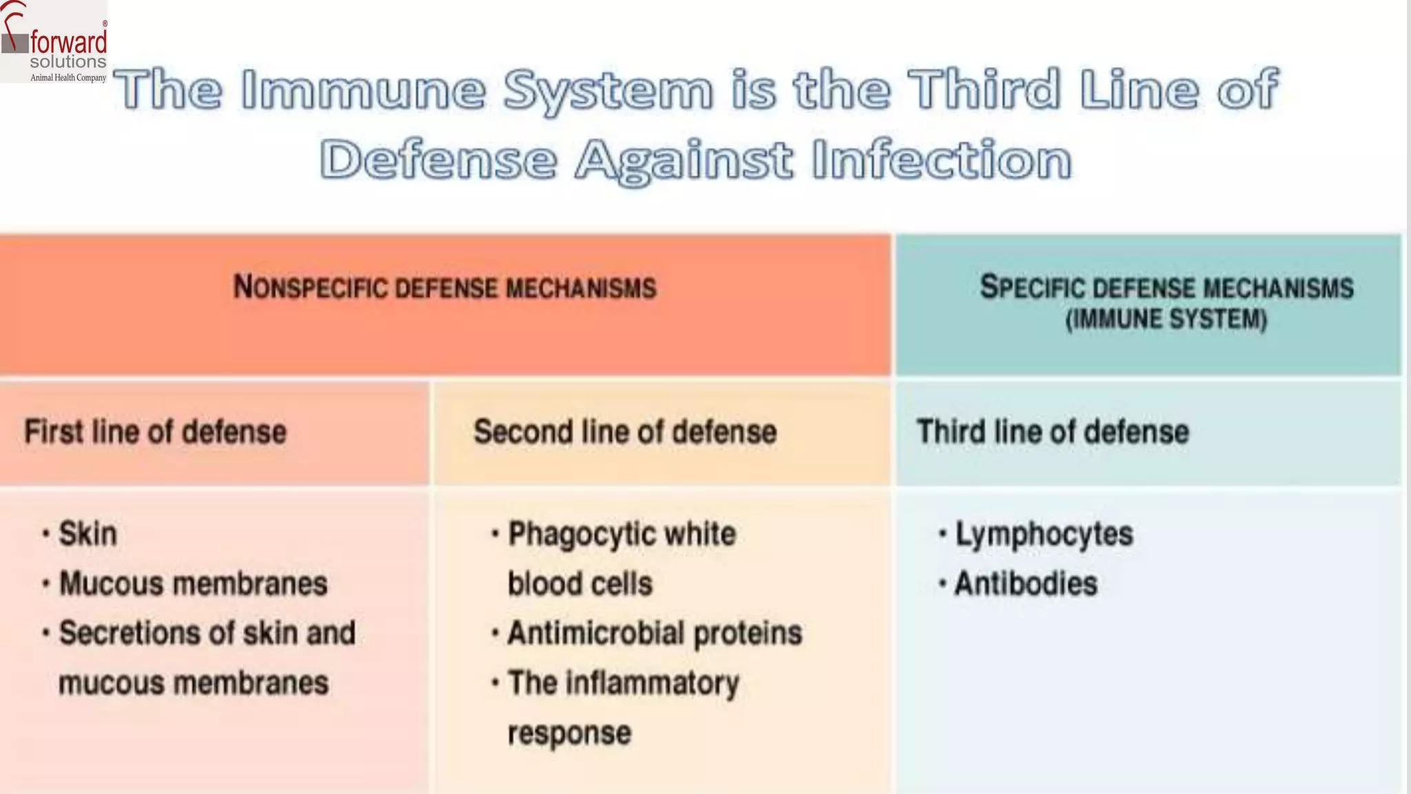Immunity of chicken | PPTX