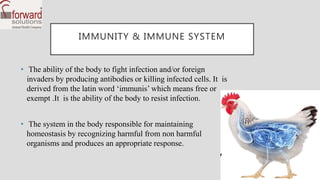 Immunity of chicken | PPTX