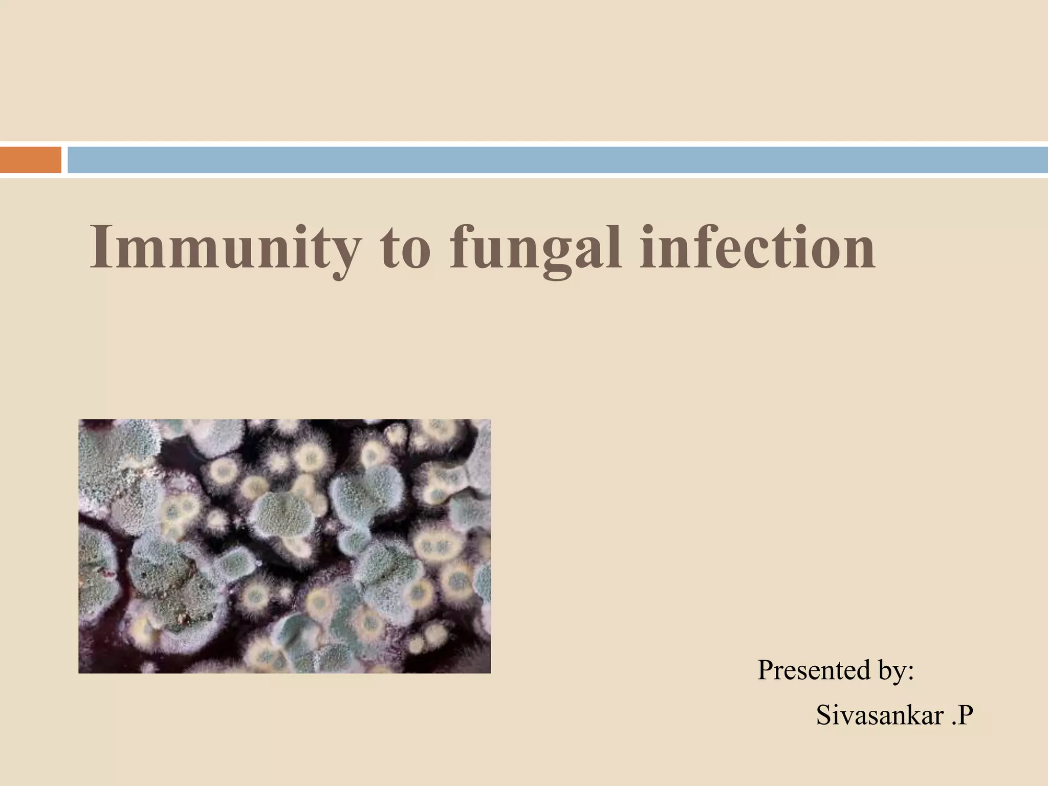 Immunity to fungal infection | PPTX