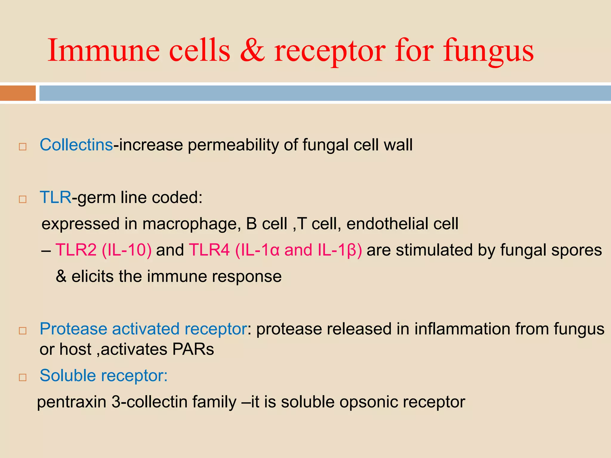 Immunity to fungal infection | PPTX