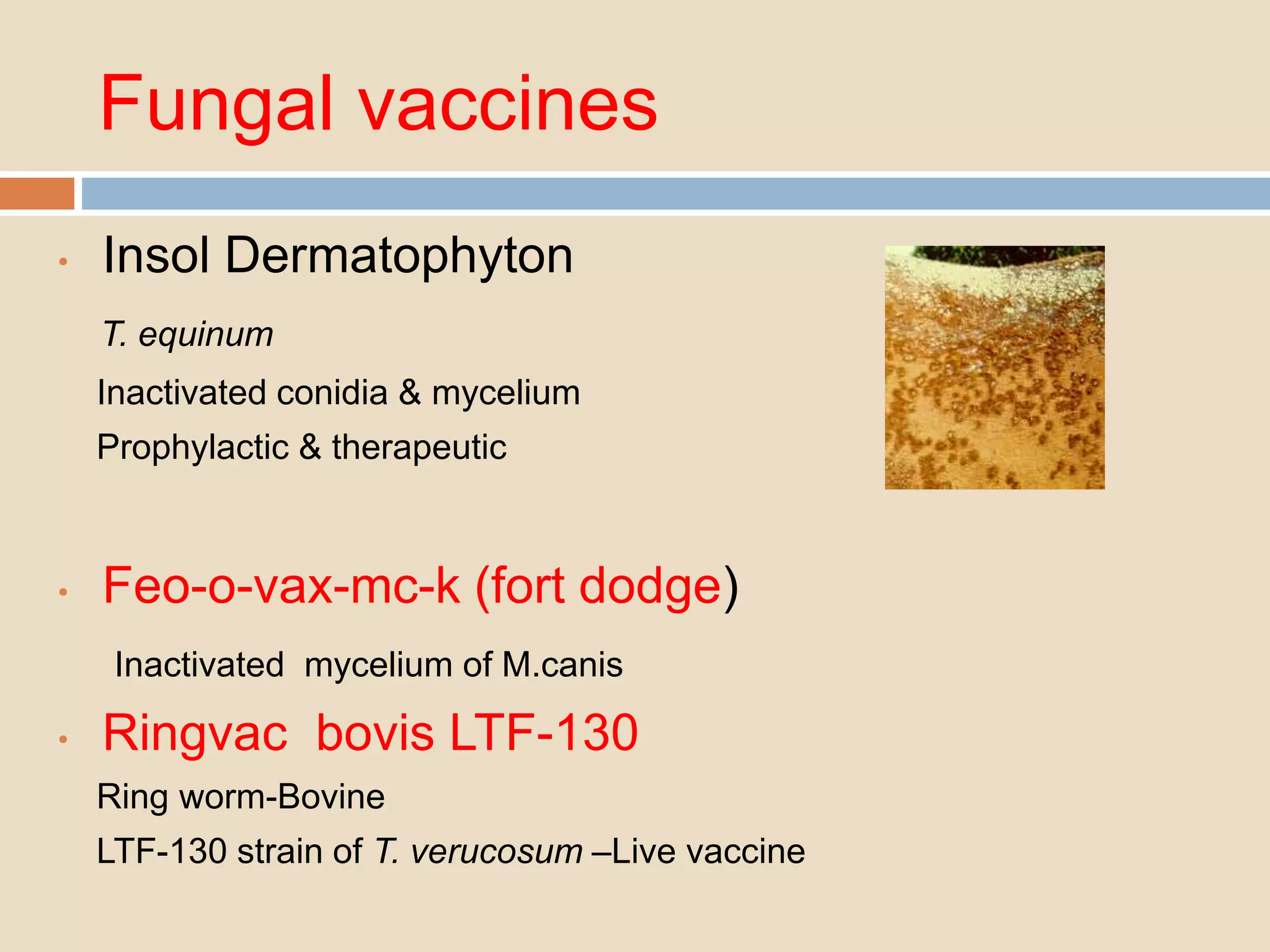Immunity to fungal infection | PPTX