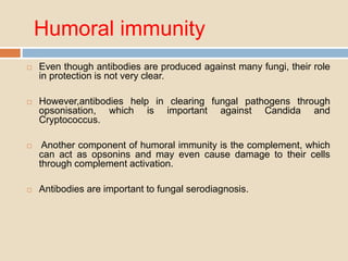 Immunity to fungal infection | PPTX