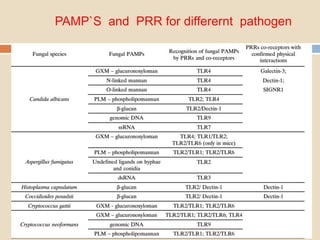 Immunity to fungal infection | PPTX