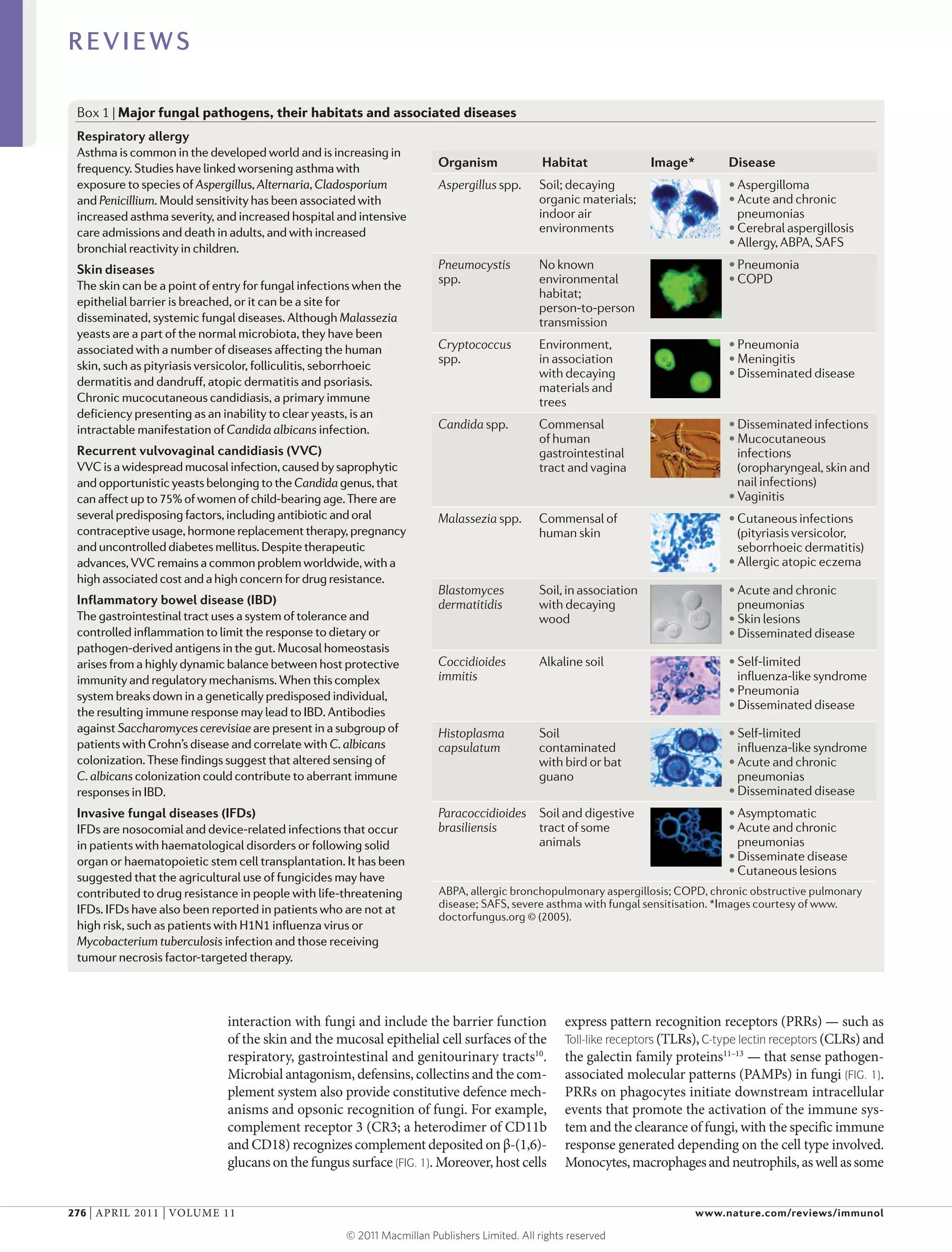 Immunity to fungal infections | PDF