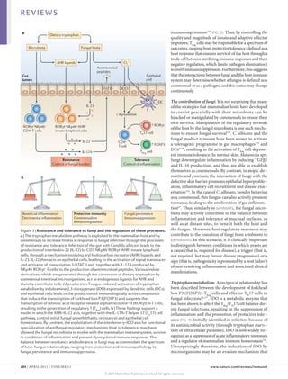 Immunity to fungal infections | PDF