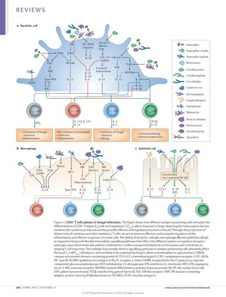 Immunity to fungal infections | PDF