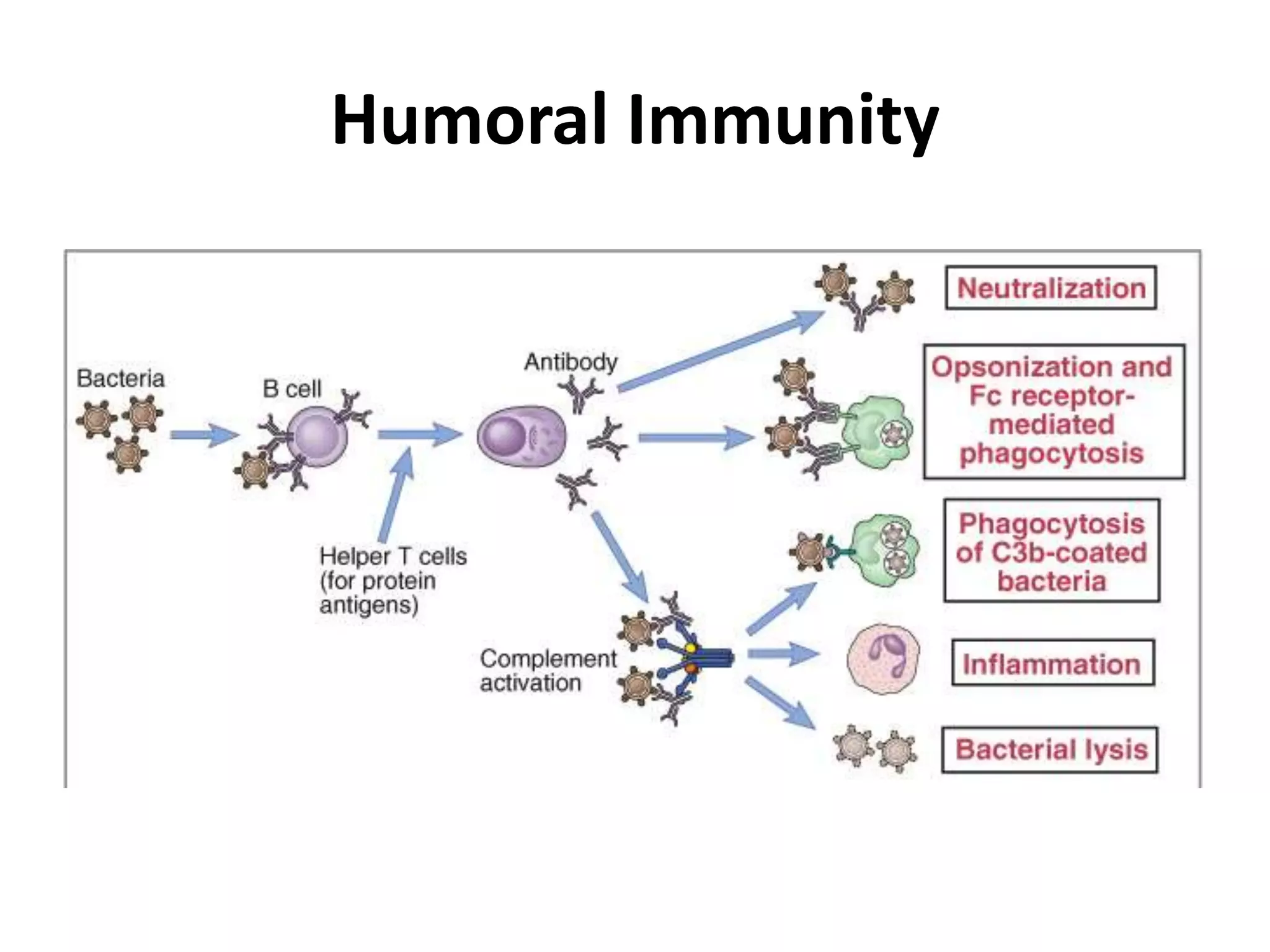 Immunity to microbes | PPTX