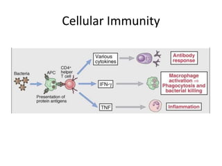 Immunity to microbes | PPTX