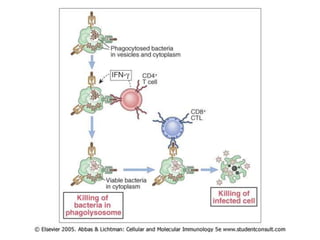 Immunity to microbes | PPTX