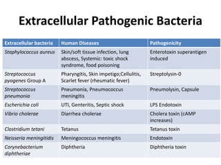 Immunity to microbes | PPTX