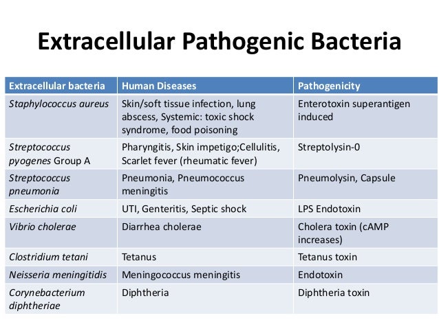 Immunity to microbes