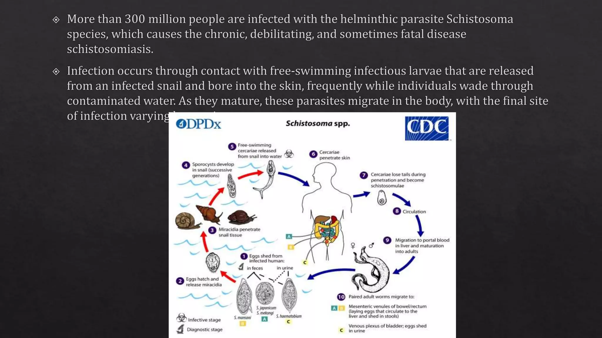 Immunity to parasitic infections | PPTX