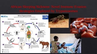 Immunity to parasitic infections | PPTX