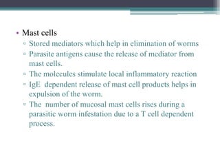 Immunity to parasitic infections | PPT
