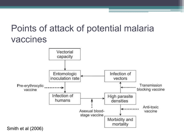 Immunity to parasitic infections | PPT | Infectious Diseases | Diseases ...