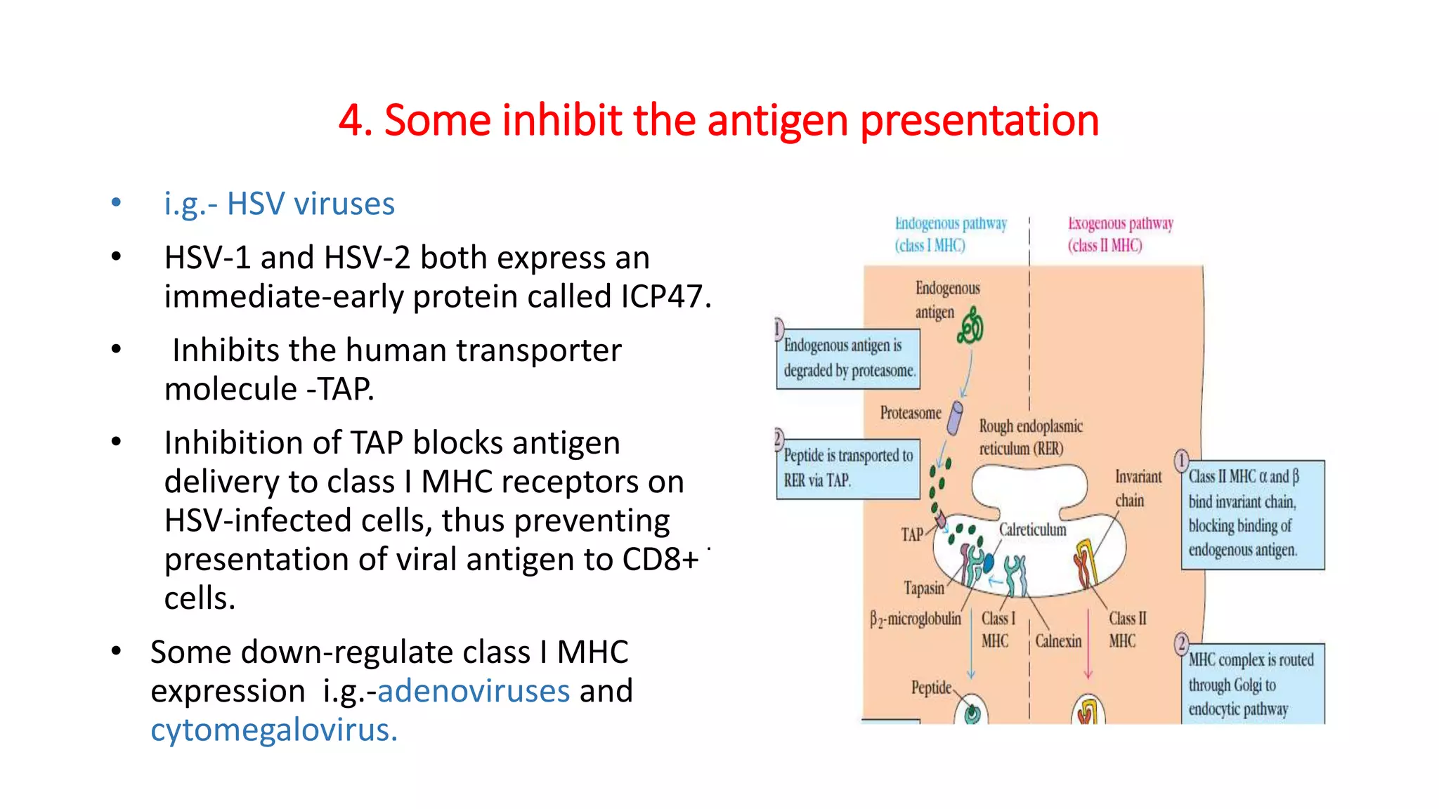 Immunity to virus | PPTX