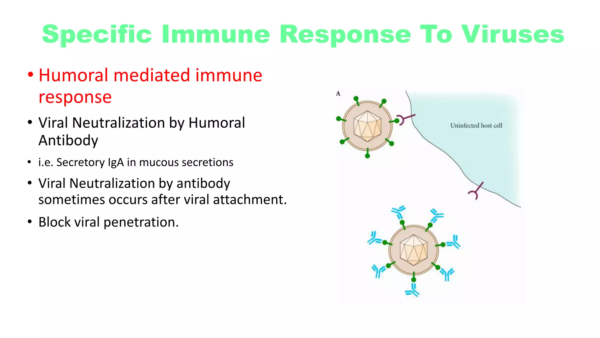Immunity to virus | PPTX