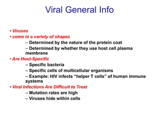 Immunity to viruses ppt | PPTX