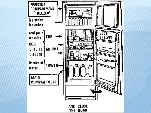 Immunization and Cold Chain | PPTX