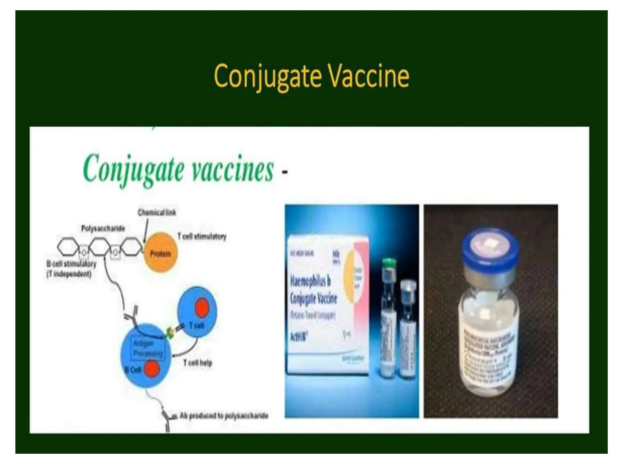 Immunization pediatric topic presentation.pptx | Free Download