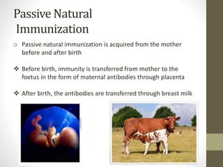 Immunization-vaccination | PPTX